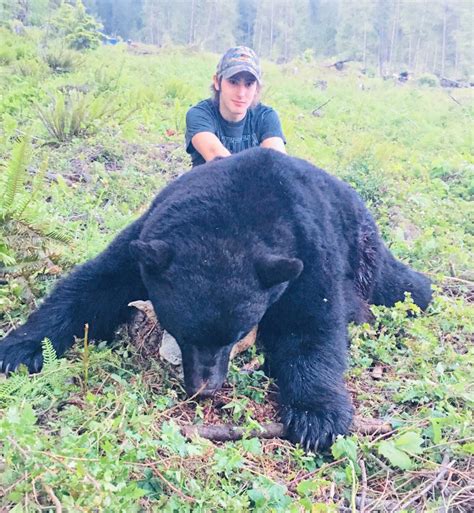 British Columbia Black Bear Hunt Quality Hunts 1 Hunt Provider