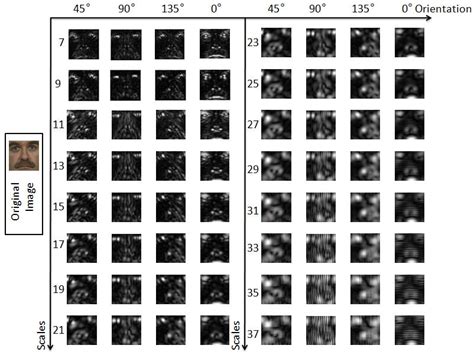 S1 Features Created By 64 Gabor Filters Download Scientific Diagram