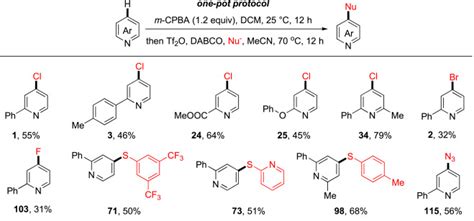 Regioselective Synthesis Of 4 Functionalized Pyridines Chem