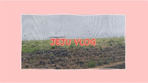 Vlog 제주도로 6박 7일 퇴사여행 가는데 태풍 힌남노도 같이 간 여행 🤦🏻‍♀️ Ep2 하루종일 먹기 효퇴국수