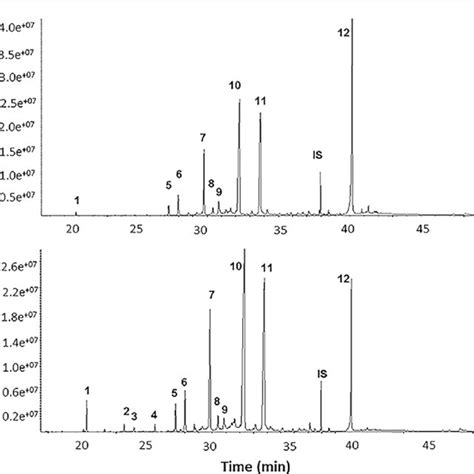 Gc Ms Chromatogram Of Curcuma Longa L Hexane Extract Representative Download Scientific