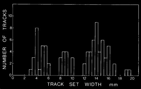 Analysis Of Track Set Width Variations Download Scientific Diagram