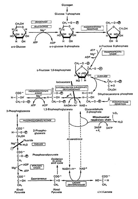 Untitled Document []