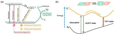 Nir Ii Aggregation Induced Emission Luminogens For Tumor Phototheranostics Encyclopedia Mdpi