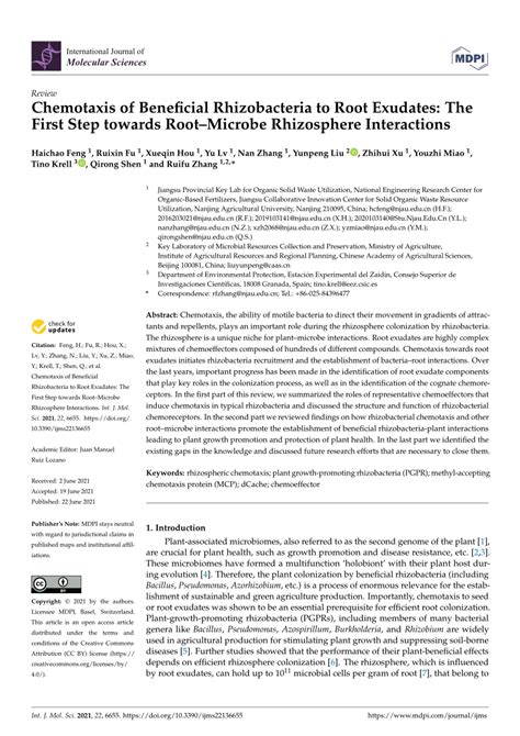 Pdf Chemotaxis Of Beneficial Rhizobacteria To Root Exudates The