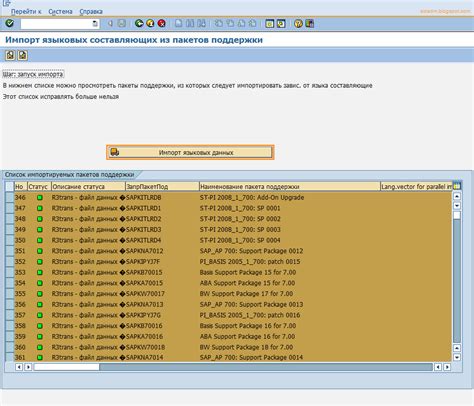 Sidadm Дополнительный язык в Sap системе и пакеты поддержки