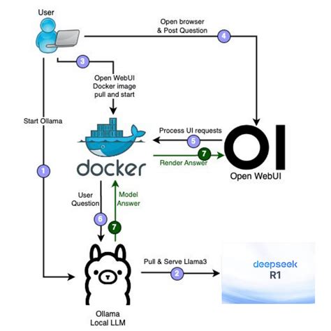 how to set up ollama locally genspark