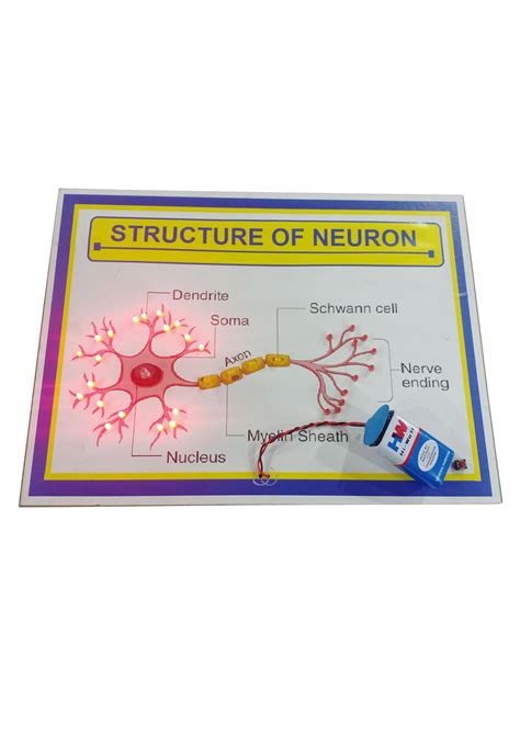 Neuron Project Model Understanding Neurons Student Model Presentation