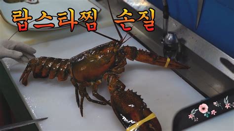 랍스타 찜 손질하기 Youtube