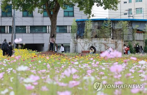 도심의 열린송현 녹지광장 연합뉴스