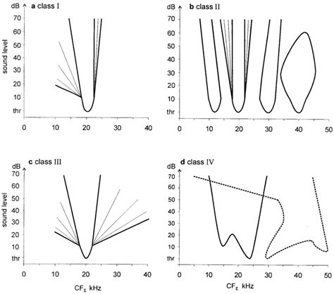 A D Schemes Of Excitatory Response Areas Of Neurons In The Four Download Scientific Diagram