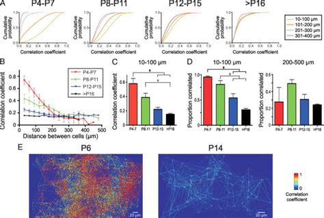 Internally Mediated Developmental Desynchronization Of Neocortical Network Activity Pmc