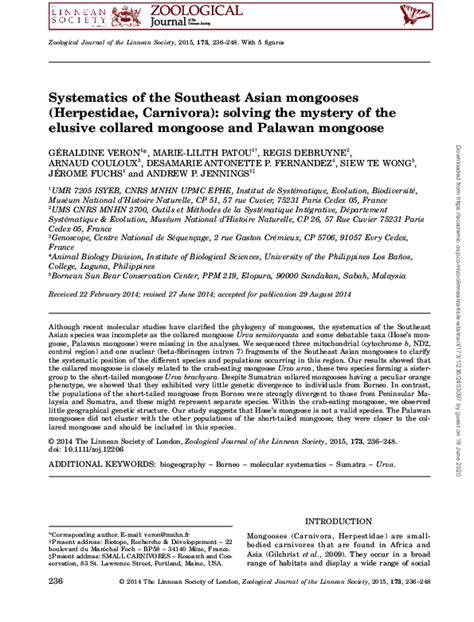 Pdf Systematics Of The Southeast Asian Mongooses Herpestidae