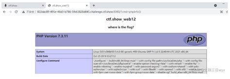 ctfshow WEB web 利用代码执行漏洞读取敏感文件 阿里云开发者社区