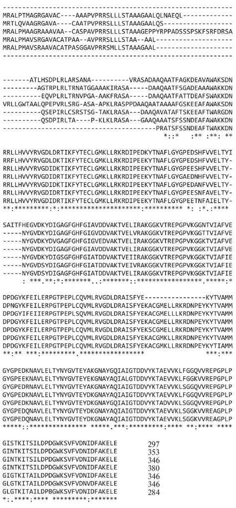 Multiple Sequence Alignment Of The Deduced Amino Acid Sequence Of Download Scientific Diagram