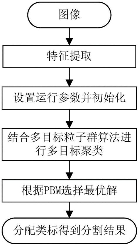 Method For Segmenting Gray Scale Image Based On Multi Objective Particle Swarm Optimization