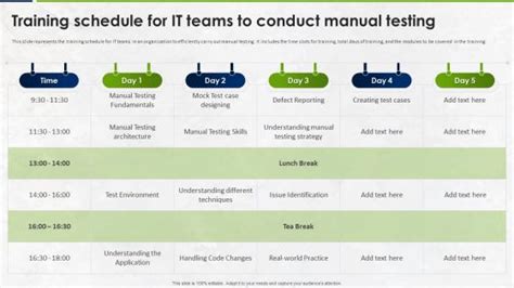 Manual Testing Techniques Powerpoint Presentation And Slides Slideteam