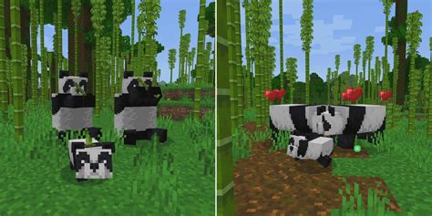 How To Breed Pandas In Minecraft