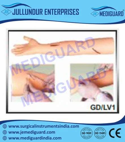 Advanced Surgical Suturing Arm Model At Best Price In Ghaziabad