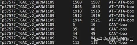 基因家族分析（6）顺式作用元件预测 知乎