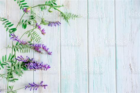야생화의 배경입니다 자연스러운 색상의 배너 배경입니다 카피스페이스 꽃이 있는 배너 꽃 배경입니다 흰색 나무 배경에 꽃입니다 0명에 대한 스톡 사진 및 기타 이미지 Istock