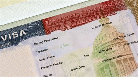 Qué hacer para recuperar la visa de EEUU en caso de perderla Infobae
