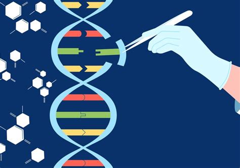 Avoiding Gene Editings Unintended Consequences The Scientist