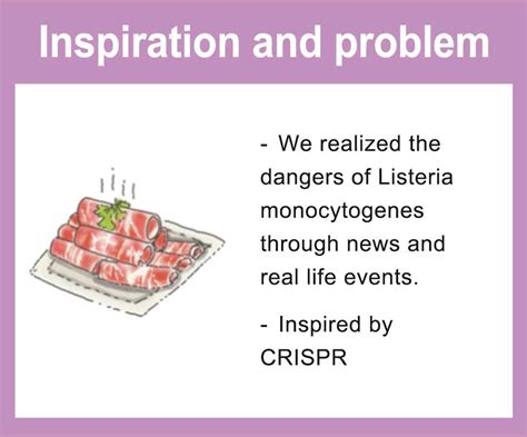 Teamshsidposter Teamshsidposter