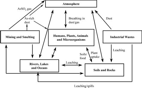 A Simplified Diagram Of The Main Components Of The Global Arsenic