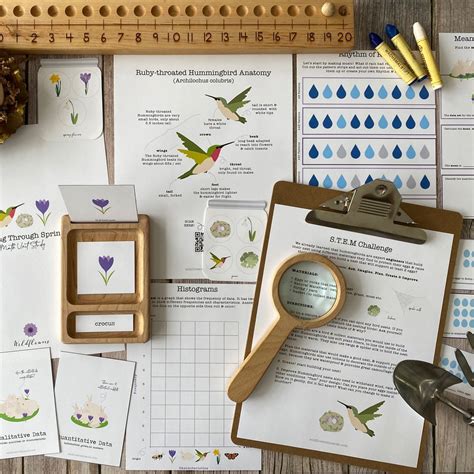 Sorting Through Spring — Wildflowers