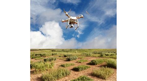 Adaptive Swarm Robotics Could Revolutionize Smart Agriculture Morning Ag Clips