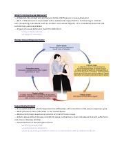 Understanding Sexual Behavior And Dysfunctions A Comprehensive Course Hero