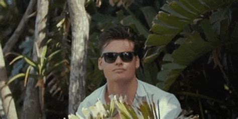 when i hear someone talking about my favorite technology the coding love programmer humor