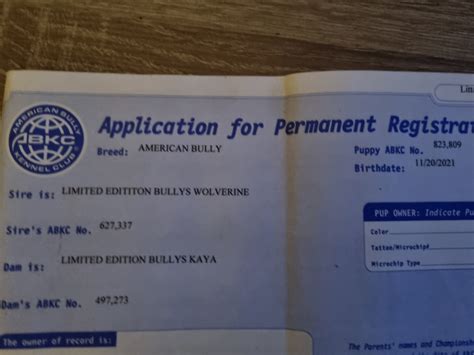 Abkc Questions R Americanbully