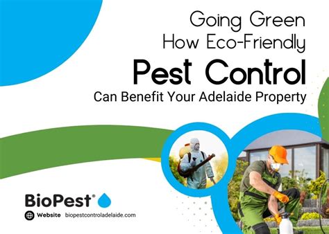 How Eco Friendly Pest Control In Adelaide Benefits Your Property Pest Control