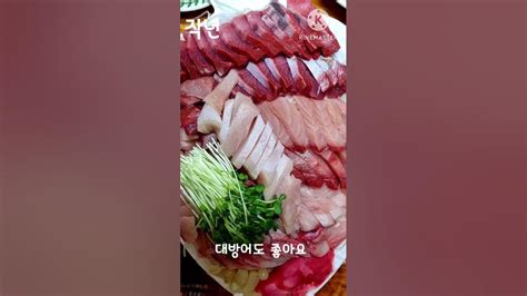 겨울철 회 쫀득 Youtube