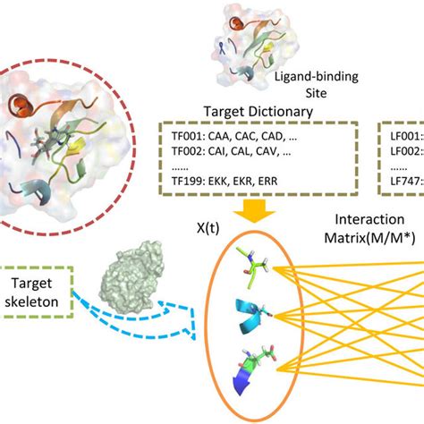 Fragment Interaction Model Fim Each Element In The Target Dictionary Download Scientific
