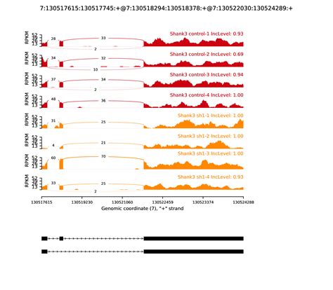 read counts inconsistency between rmats results and rmats2sashimiplot