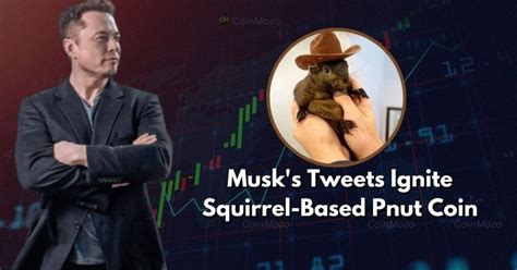 Squirrel Based Pnut Hit 125m Musk Tweet Spark Viral Frenzy