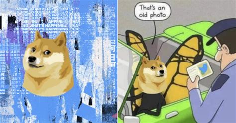 트위터 로고 파랑새에서 시바견으로 도지코인 한때 급등