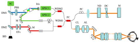 Mtnet A Multi Scale Framework Using The Transformer Block For Retina Layer Segmentation