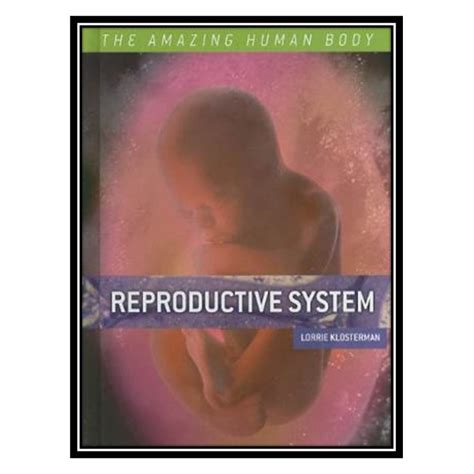 قیمت و خرید کتاب Reproductive System The Amazing Human Body اثر