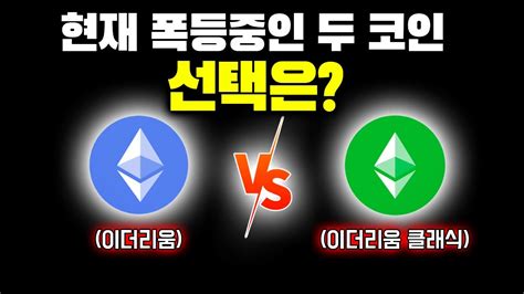 어떤 코인을 매수해야 할까 Youtube