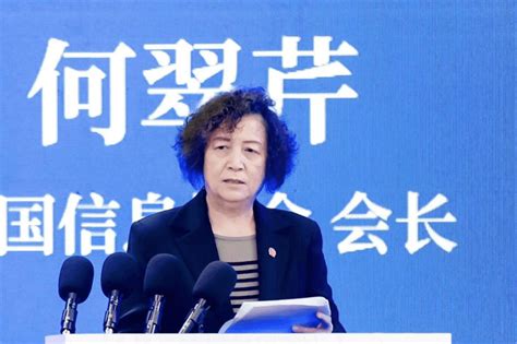首届中国数字营商环境高峰论坛在京举办 中国信息化中国信息协会