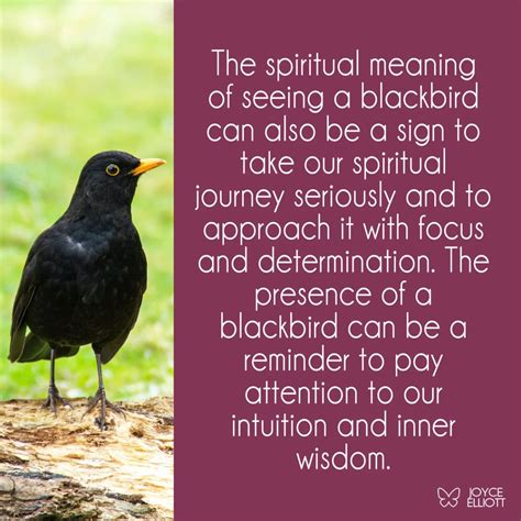 What Does The Blackbird Symbolize Small Wave Tattoo Black Bird