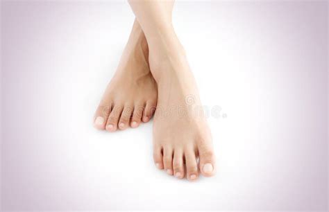 Beautiful Female Legs And Feet On A White Backgroundconcept Beauty And Hydration Of The Skin