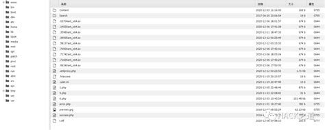实战绕过宝塔php Disable Function 限制getshell 宝塔禁用函数绕过 Csdn博客