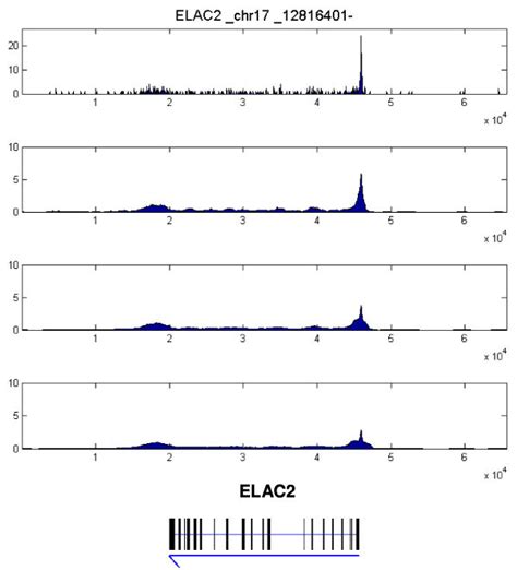 Denoising On Polii Chip Seq Data For Mcf7 Cell Line Using Nl Means