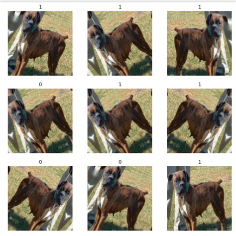 Keras Transfer Learning Fine Tuning