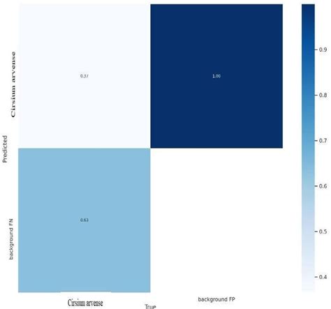 Figure 4 From Weed Detection In Wheat Crops Using Image Analysis And Artificial Intelligence Ai
